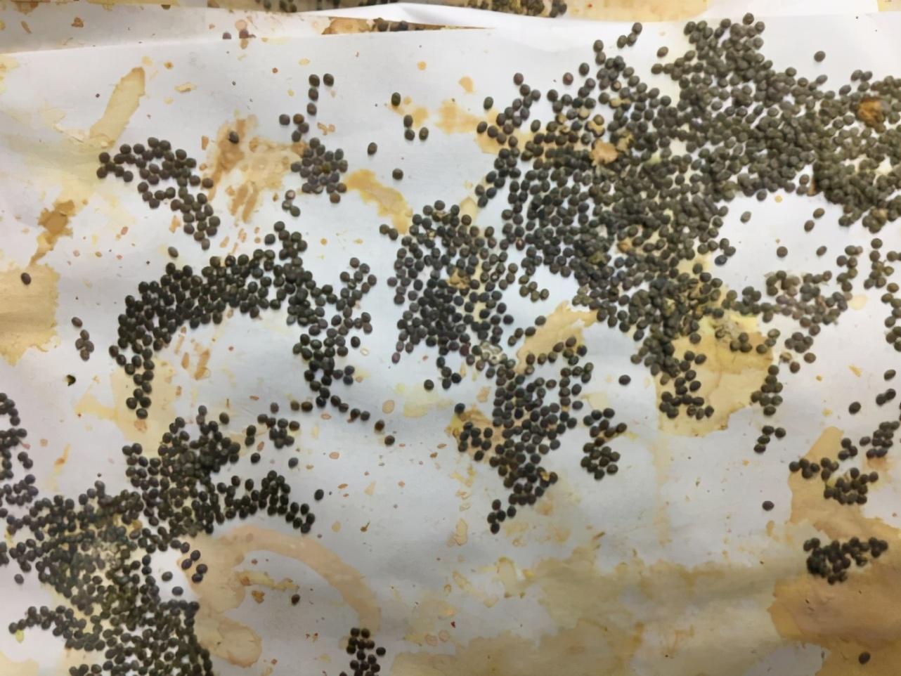 What material is silk? (Why can it be made into silk) - Flame retardant ...