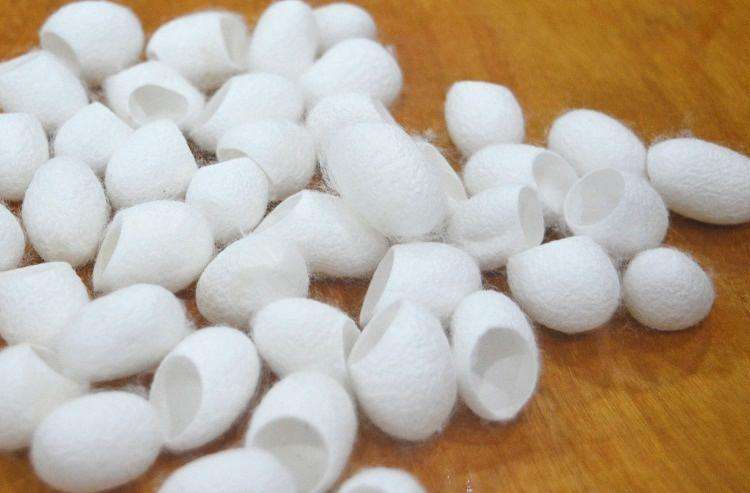 What does Shuangqiao silk mean (what is the difference between mulberry ...